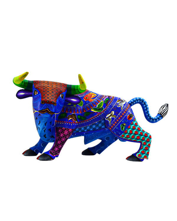 TORO AZUL - Caracol Púrpura